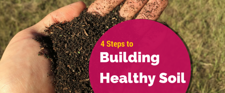 4 Steps to Building Healthy Soil - Homegrown Liberty